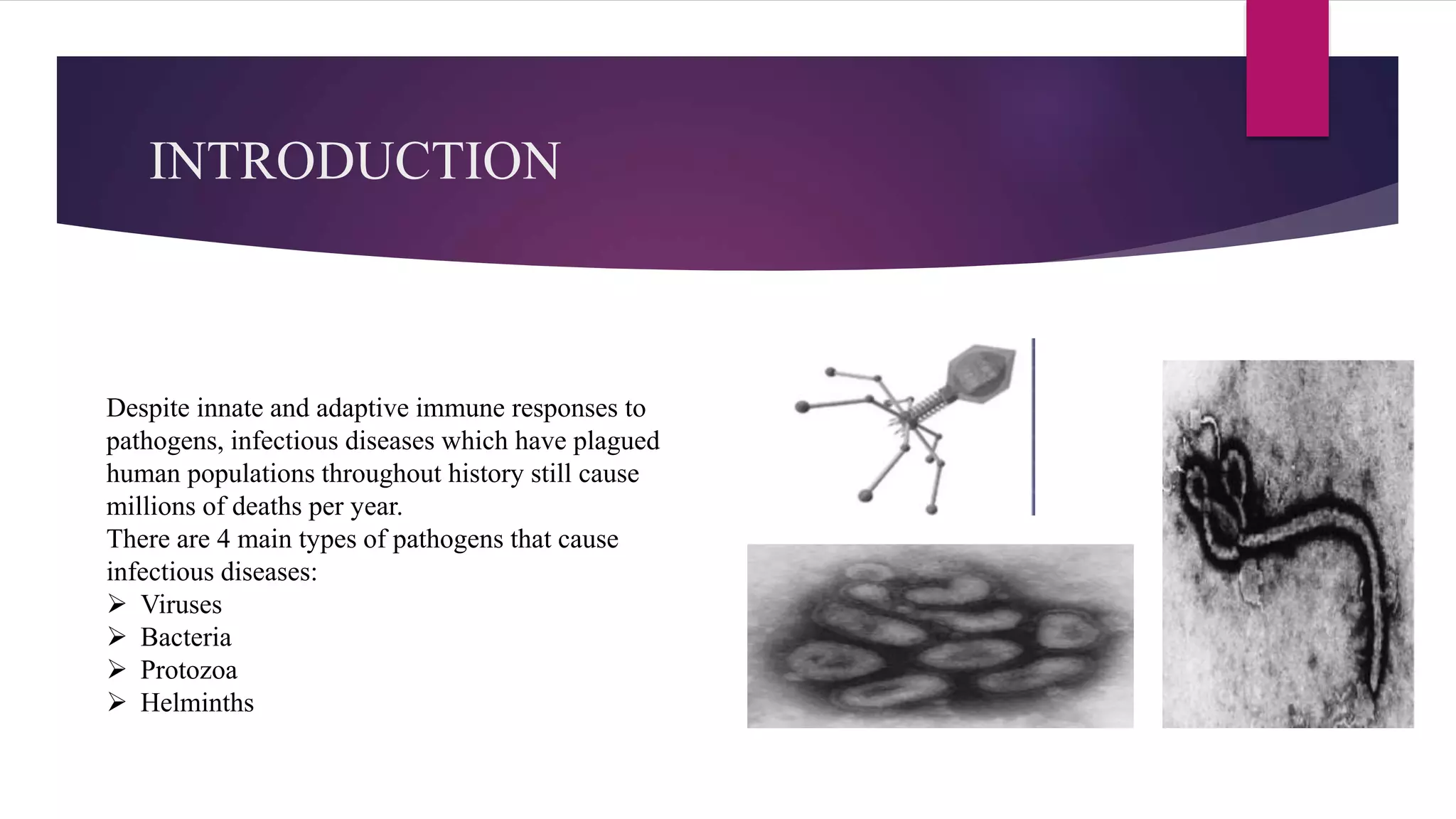 Immune responses to infectious diseases | PPTX