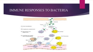Immune responses to infectious diseases | PPTX