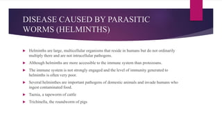 Immune responses to infectious diseases | PPTX