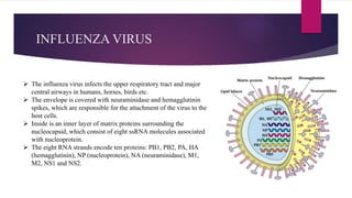 Immune responses to infectious diseases | PPTX