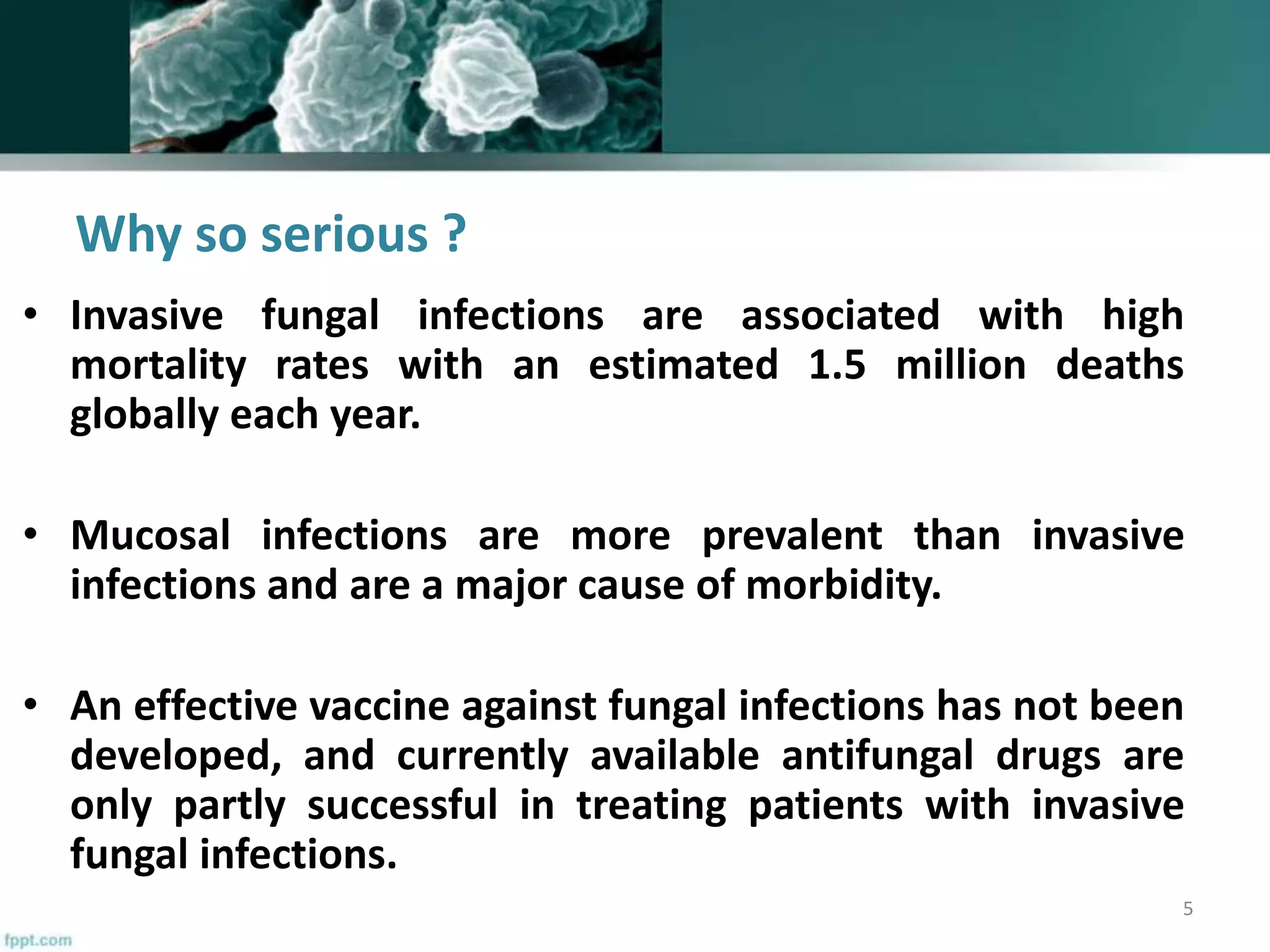 Immune response to fungal infection | PPTX