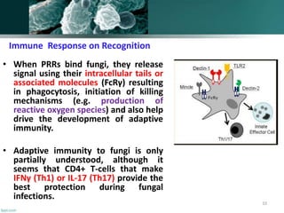 Immune response to fungal infection | PPTX