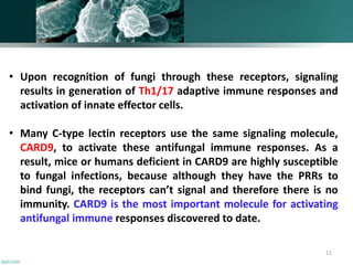 Immune response to fungal infection | PPTX