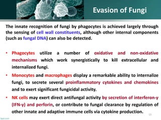 Immune response to fungal infection | PPTX