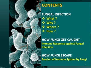 Immune response to fungal infection | PPTX