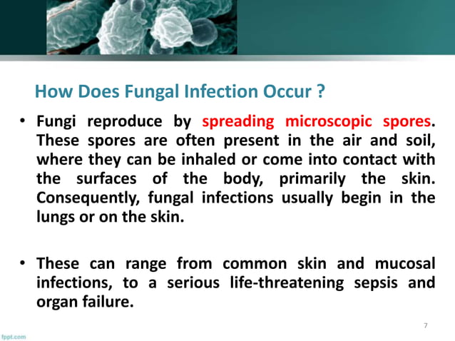 Immune response to fungal infection | PPTX