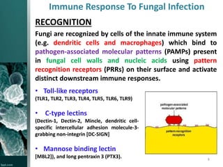 Immune response to fungal infection | PPTX
