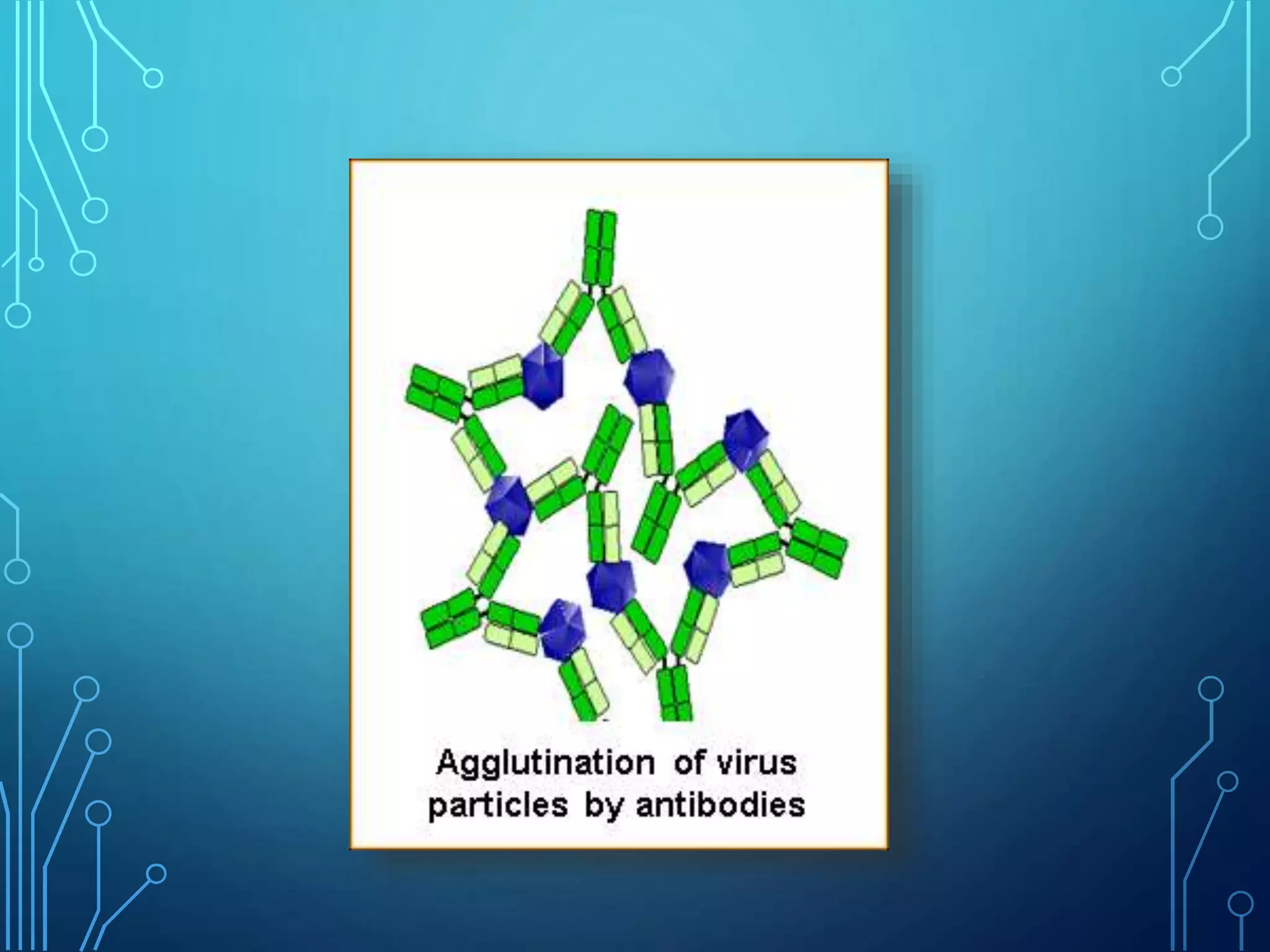 Immune response to infection by Virus | PPTX