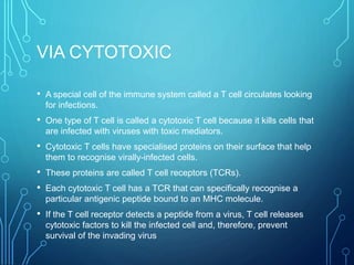 Immune response to infection by Virus | PPTX