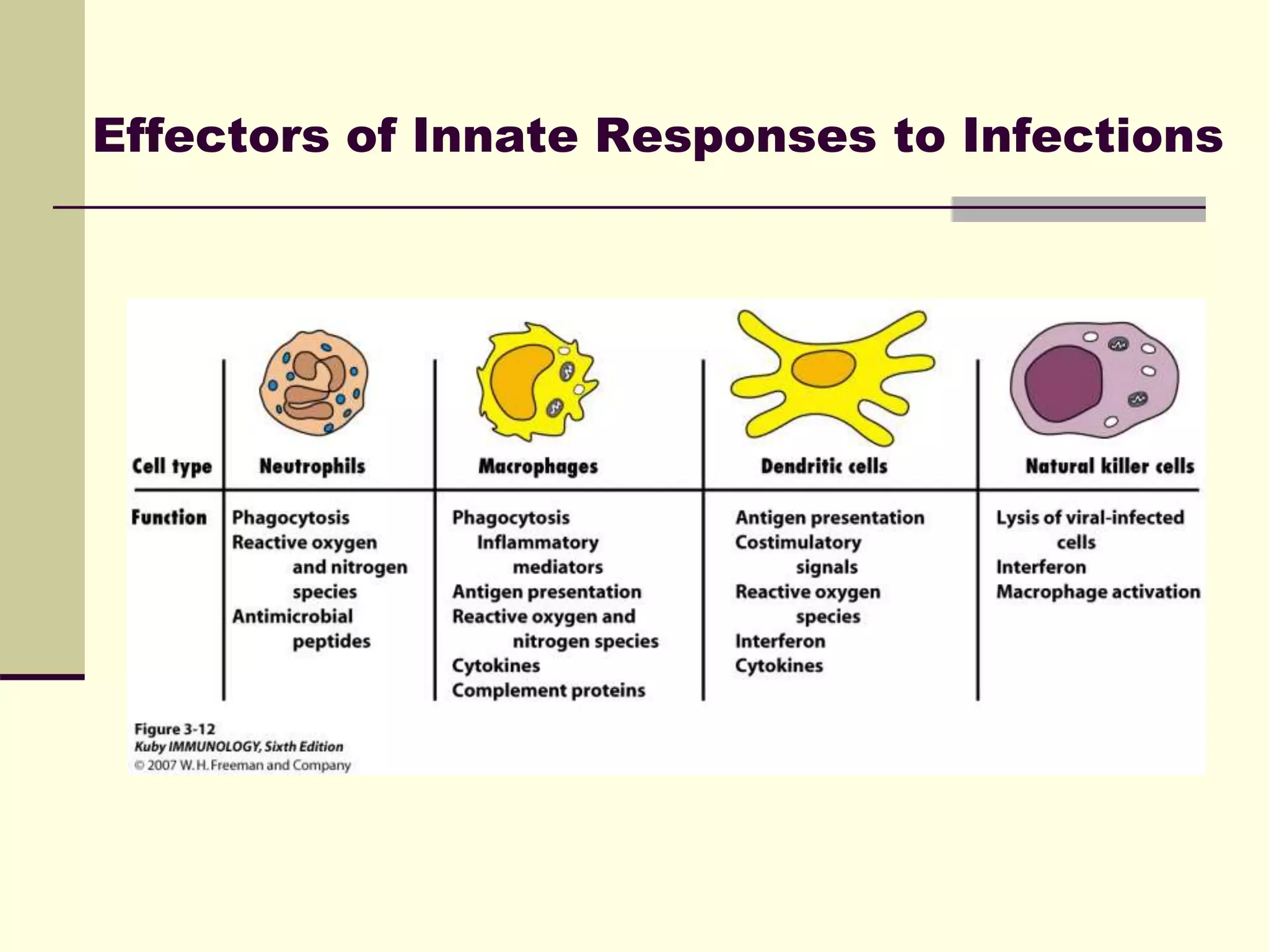 Immune response to infectious agents.pptx