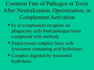 immune response to pathogen.pdf