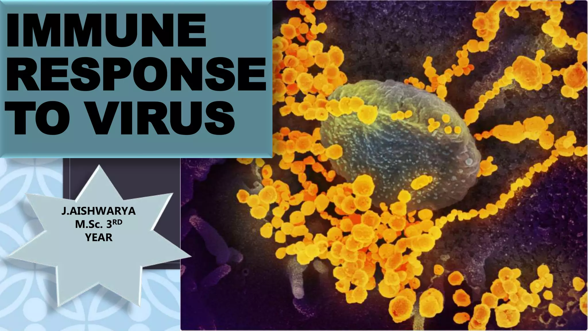 Immune response to virus | PPTX