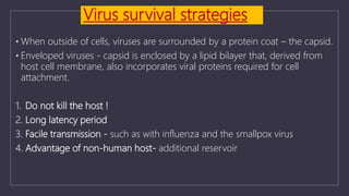 Immune response to virus | PPTX