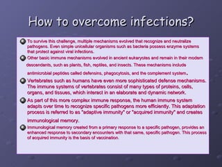Immune System | PPT