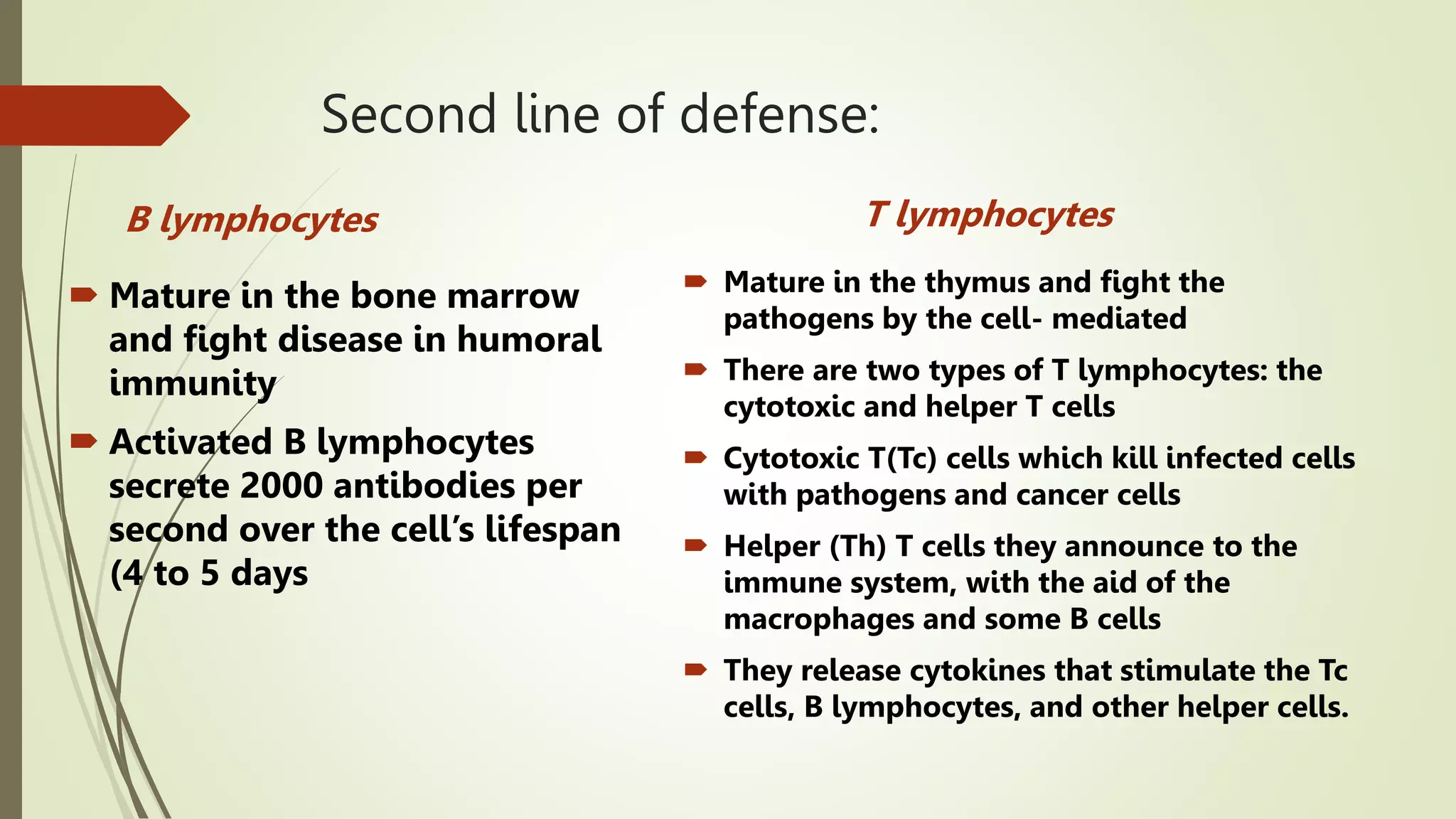 IMMUNE SYSTEM-1 (1).pptx