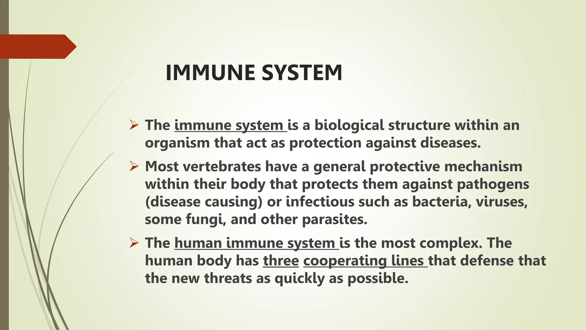 IMMUNE SYSTEM-1 (1).pptx