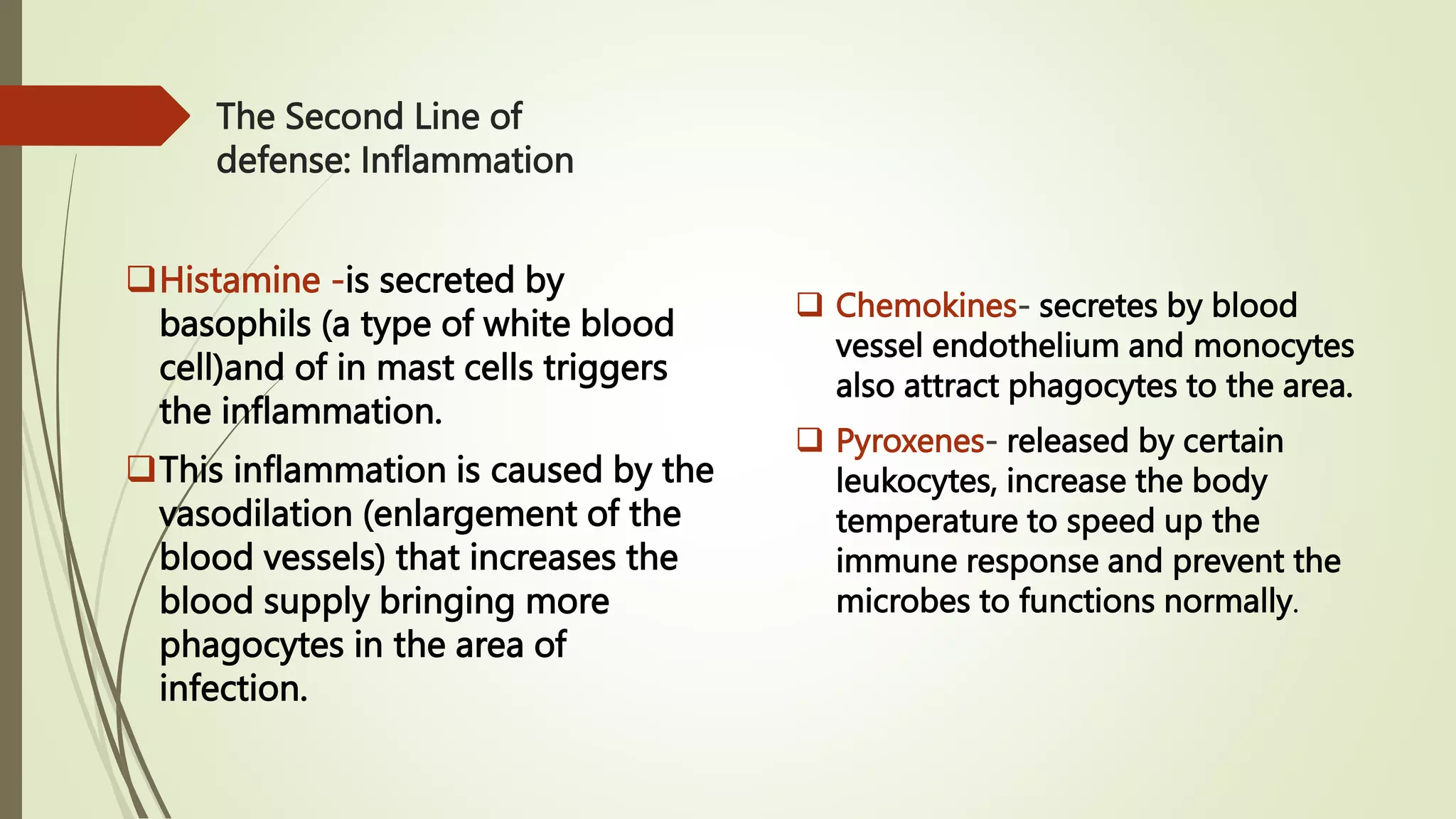 IMMUNE SYSTEM-1 (1).pptx