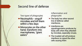 IMMUNE SYSTEM-1 (1).pptx