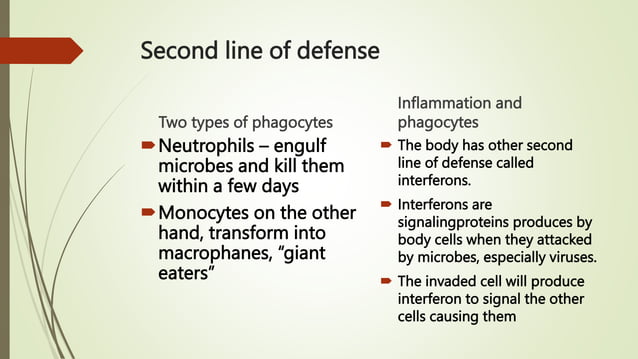IMMUNE SYSTEM-1 (1).pptx