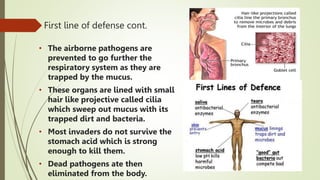 IMMUNE SYSTEM-1 (1).pptx