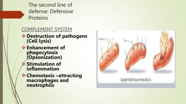 IMMUNE SYSTEM-1 (1).pptx