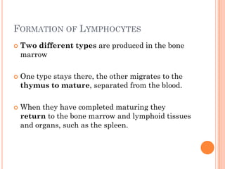 Immune system | PPTX | Biological Sciences | Science