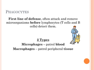 Immune system | PPTX | Biological Sciences | Science