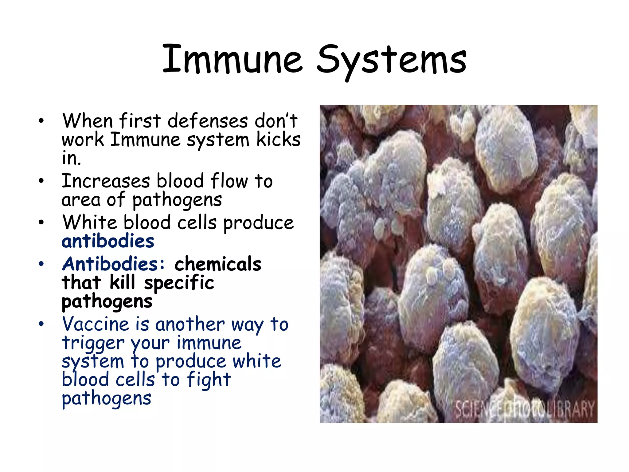 Immune system | PPTX