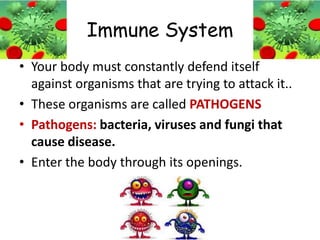 Immune system | PPT