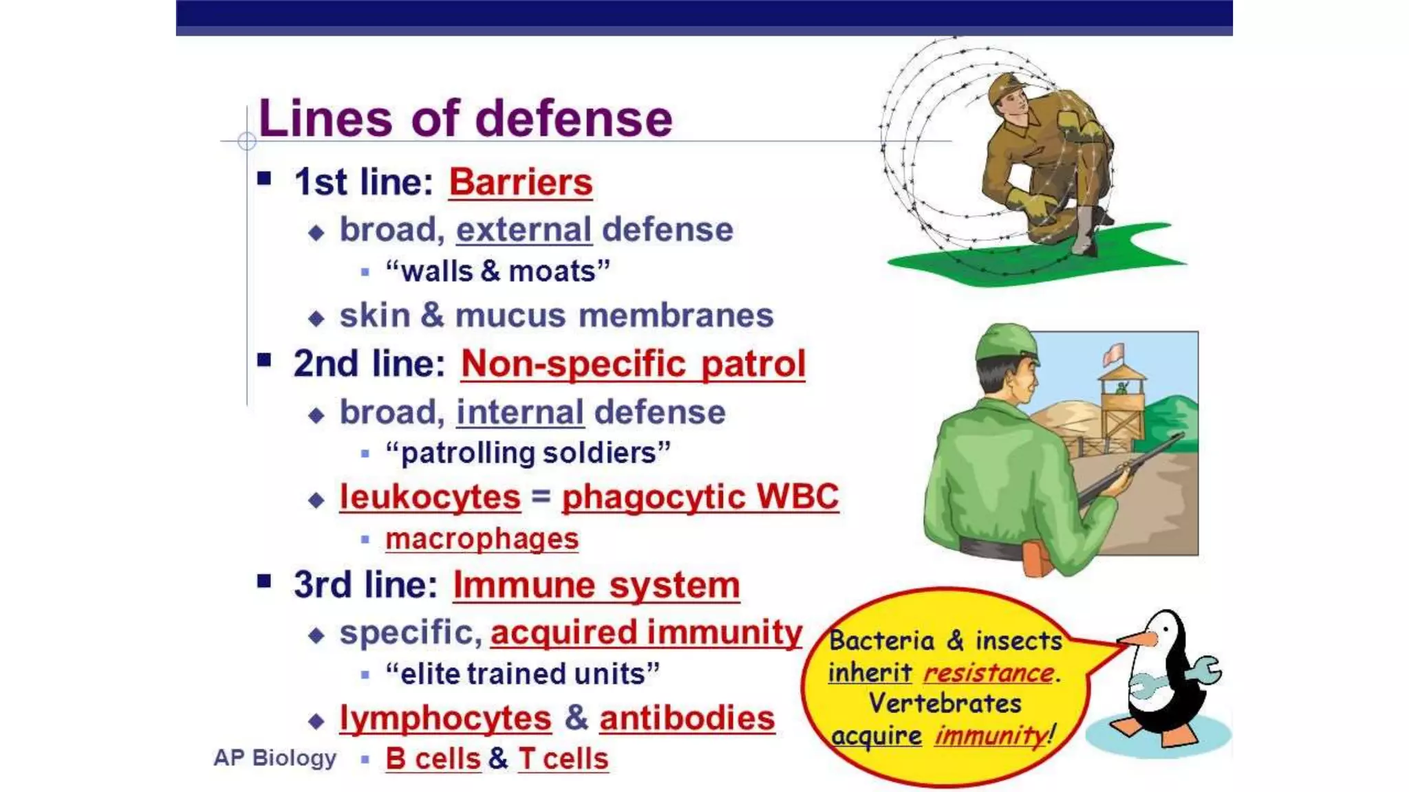 Immune system | PPT