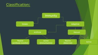 Immune system preliminary | PPT