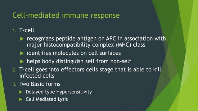 Immune system preliminary | PPT