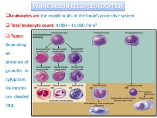 Immune system | PPTX