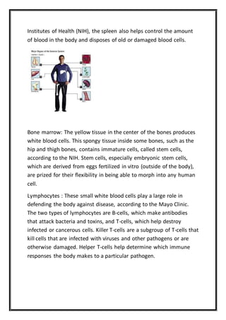 Immune system | DOCX