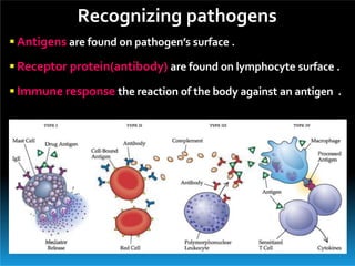 Immune system | PPTX
