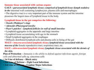 Immune system | PPTX