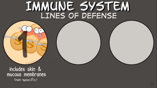 Immune system | PPT