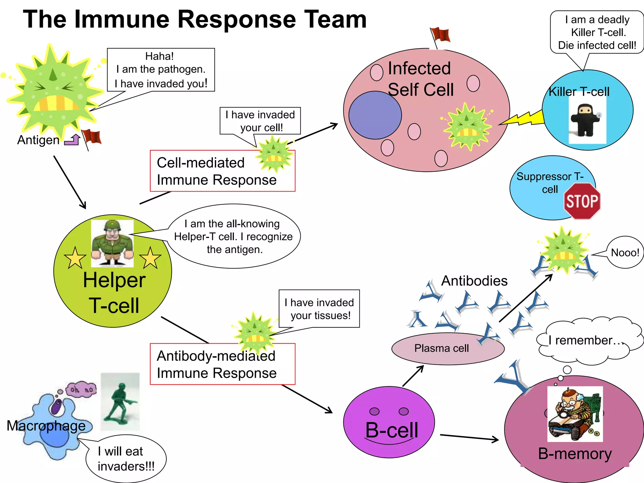 Immune_System.ppt | Infectious Diseases | Diseases and Conditions