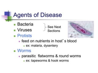 Immune_System.ppt | Infectious Diseases | Diseases and Conditions