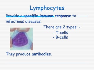 presentation of immune system (koordinasi).ppt