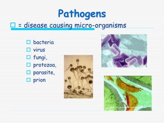 presentation of immune system (koordinasi).ppt