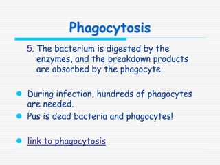 presentation of immune system (koordinasi).ppt