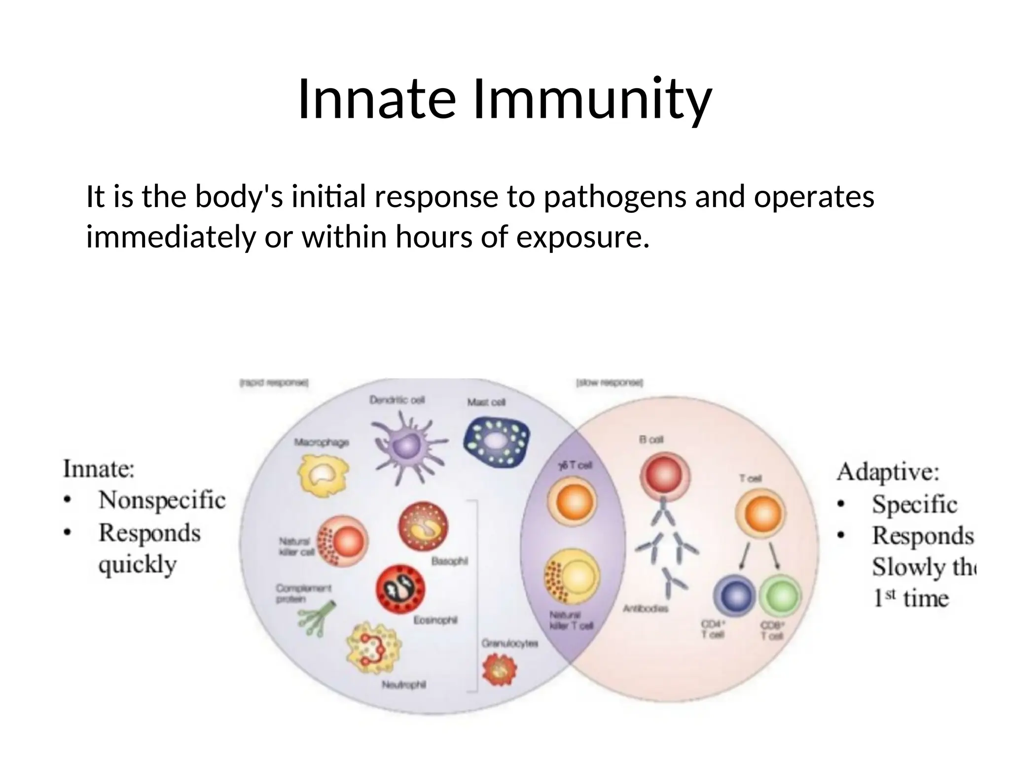 The Immune System detailed presentation.ppt