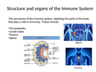 The Immune System detailed presentation.ppt