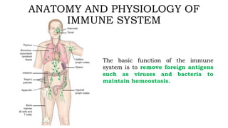 Immune system : assessment | PPTX