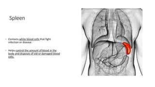 Immune system -Immunity.pptx
