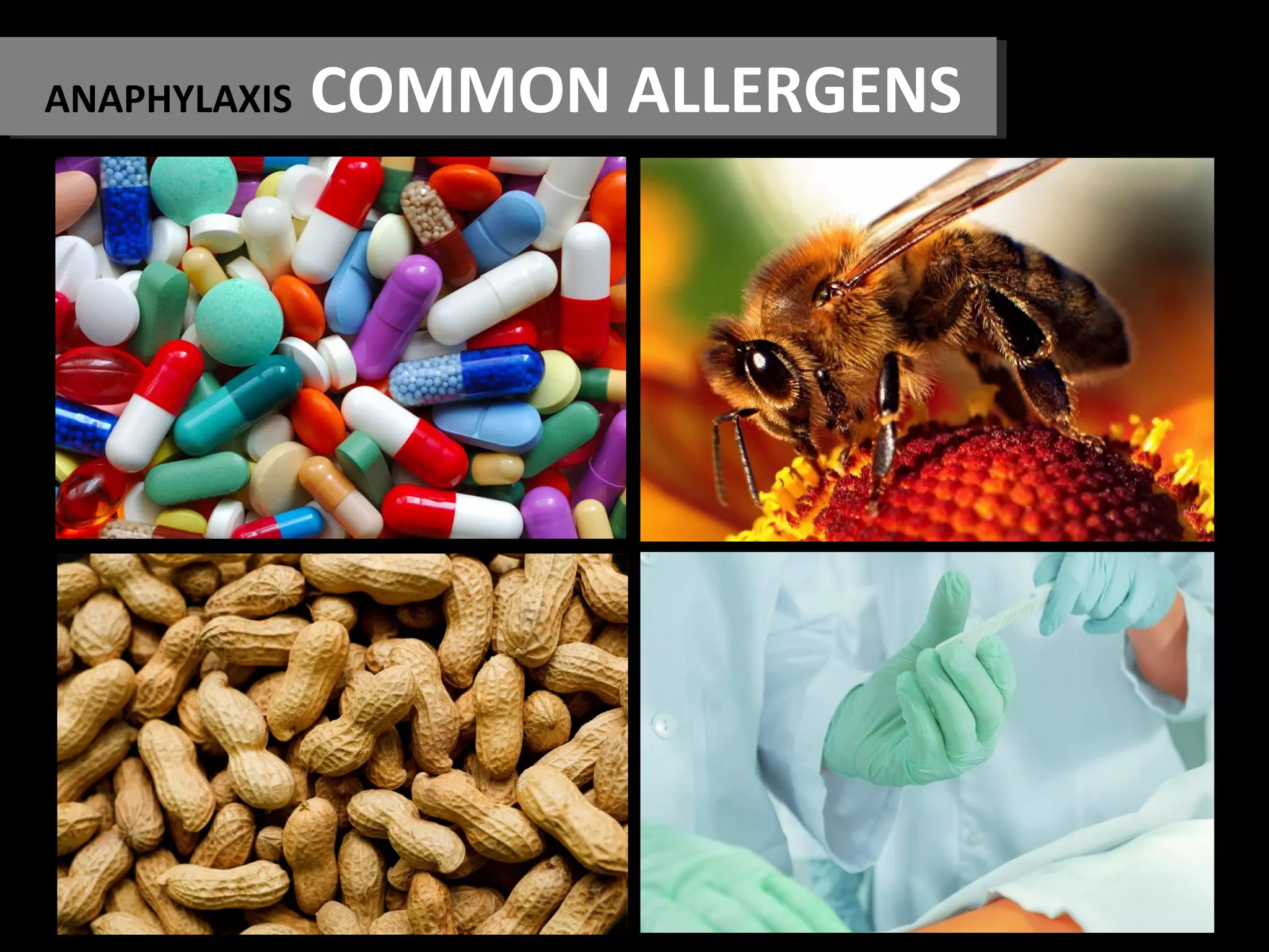 Immune System Disorders - Anaphylaxis, Angioedema, Drug Allergies | PPT