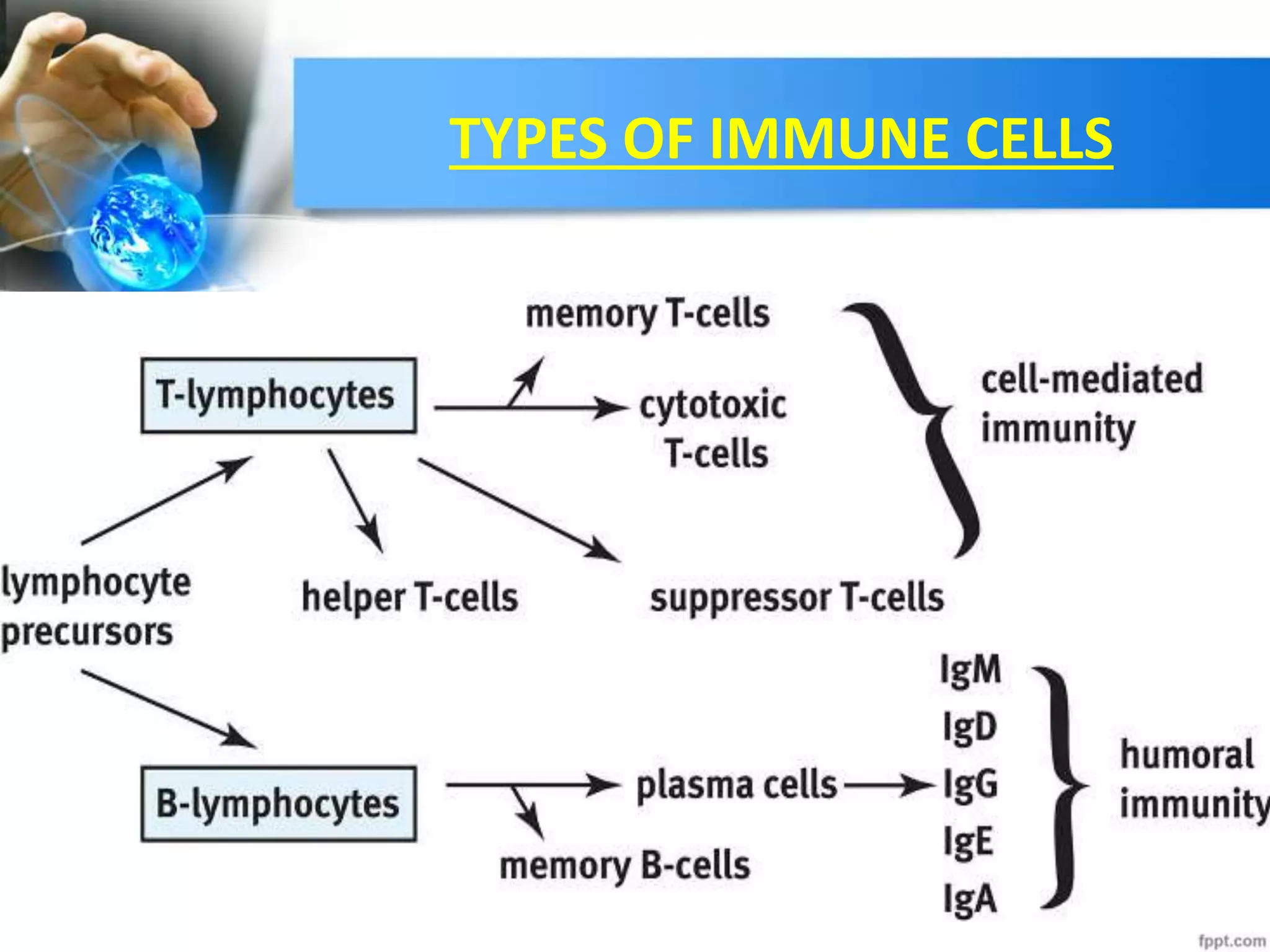 Immune system disorders | PPTX