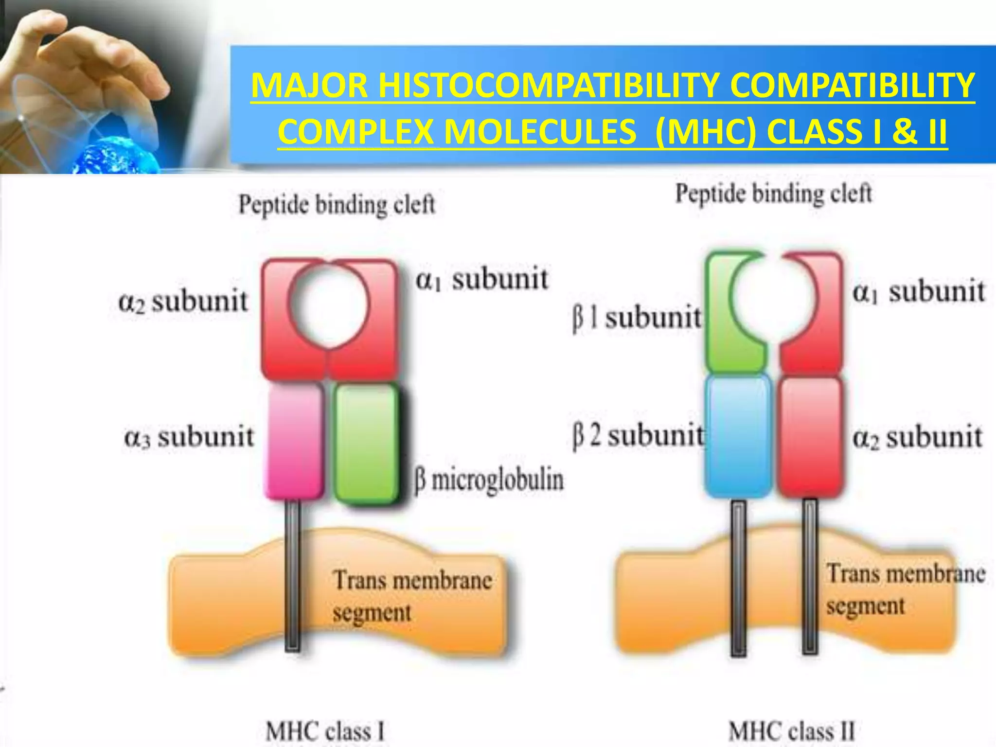 Immune system disorders | PPTX