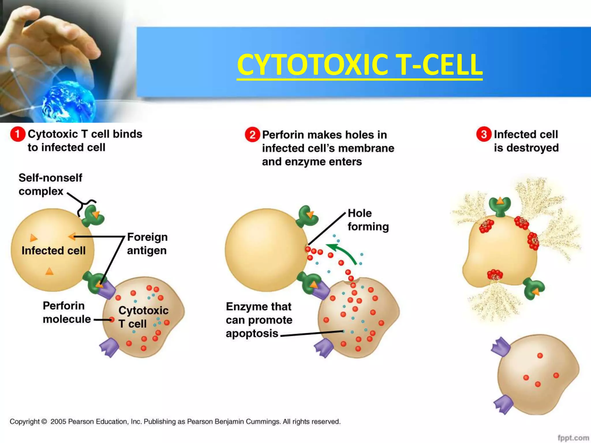 Immune system disorders | PPTX